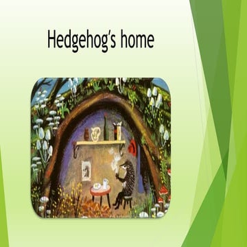 Hedgehogs home | PPT