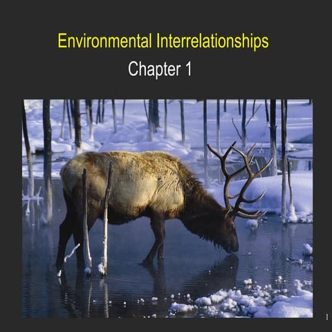 HEE Chapter 1 "Environmental Interrelationships" | PPT