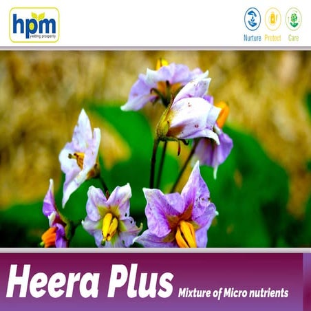 Heera plus | PDF