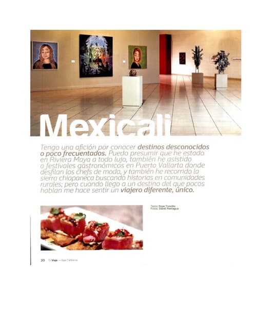 Heidelbergmexicali presentations