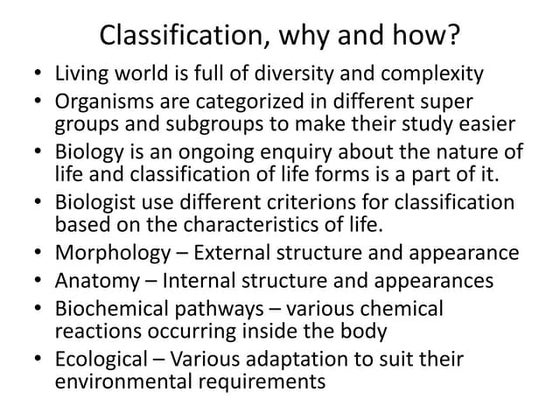 Copy of Presentation Seventh grade.ppt ! | PPT