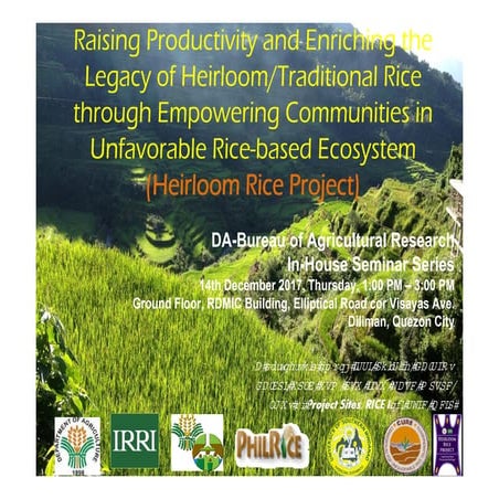 Raising Productivity and Enriching Legacy of Heirloom Rice through ...