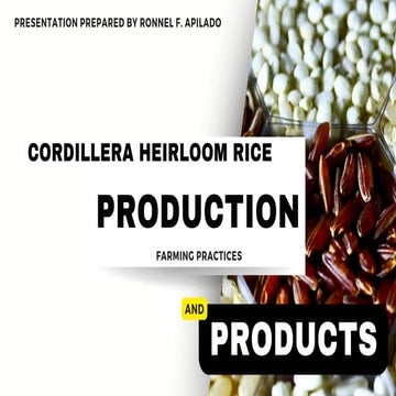 Heirloom Rice of the Cordilleras Presentation PDF.pdf