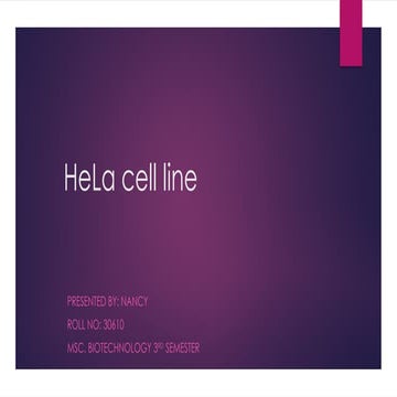HeLa cell line their features and all the important information | PPT