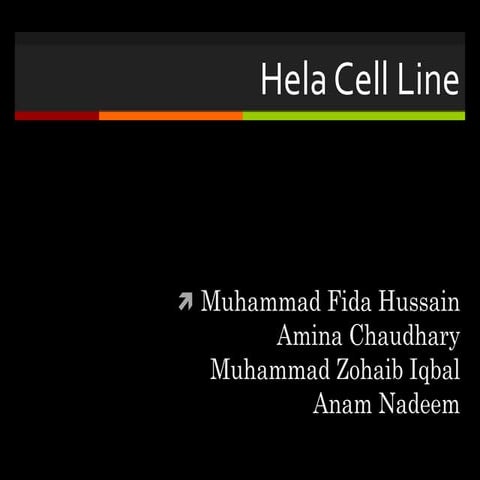 Hela cell lines | PPTX