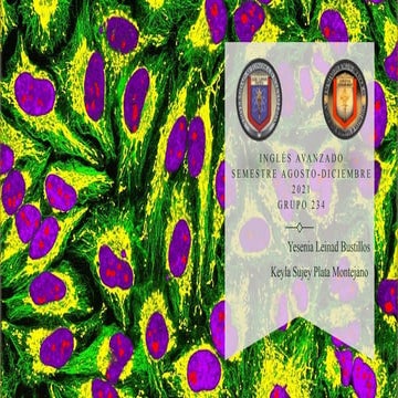 HeLa cells (3).pptx