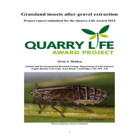 Investigation into the insect biodiversity of grasslands surrounding ...