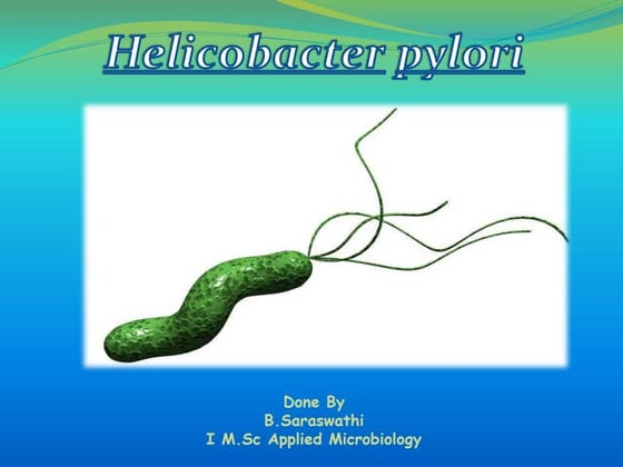 H. pylori | PPT
