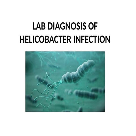 HELICOBACTER PYLORI by Dr Teena Varghese. pptx | PPT