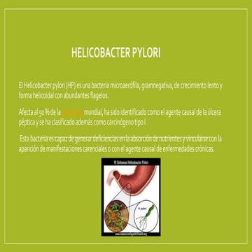 Gastroenterologia infeccion por Helicobacter Pylori.pdf