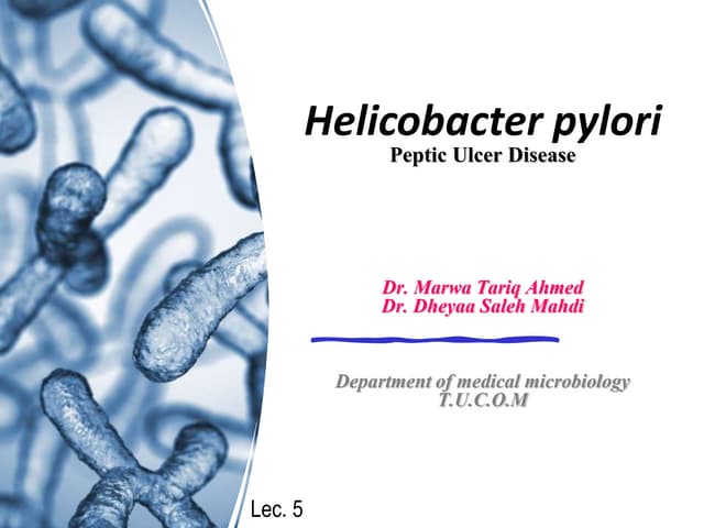 H. pylori | PPT