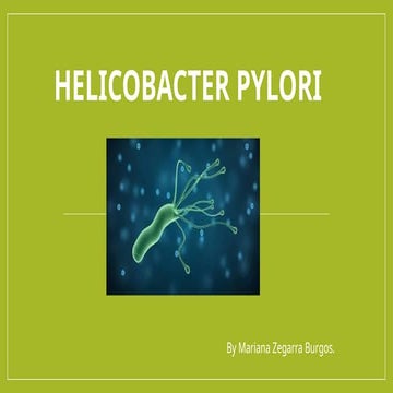 BACTEREMIA CAUSADA POR HELICOBACTER PYLORI | PPTX