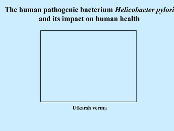 H. pylori | PPT