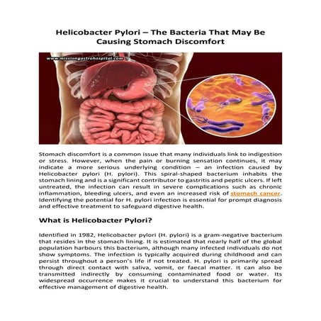 Helicobacter Pylori – The Bacteria That May Be Causing Stomach ...