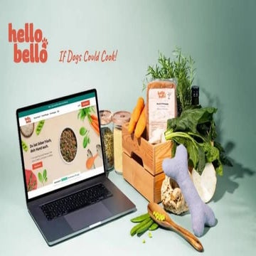 Dog food startup HelloBello's $1.8M pitch deck | PDF