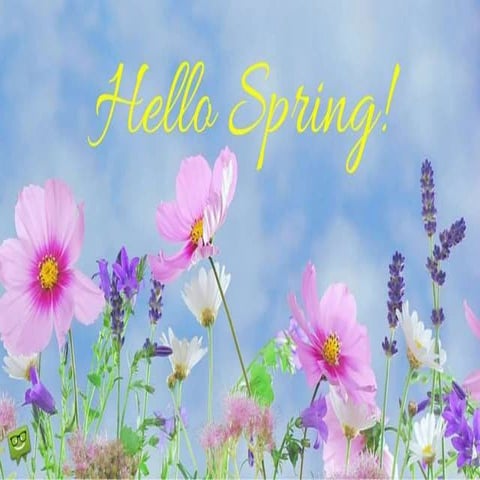 Hello spring | PPT