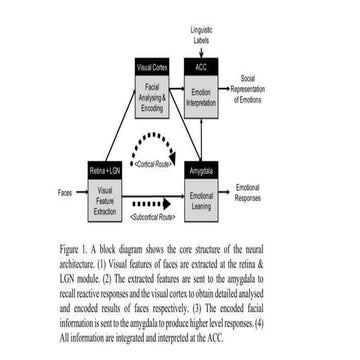 Helmholtz machine | PPTX