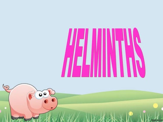 PARASITIC WORMS (HELMINTHS) | PPT
