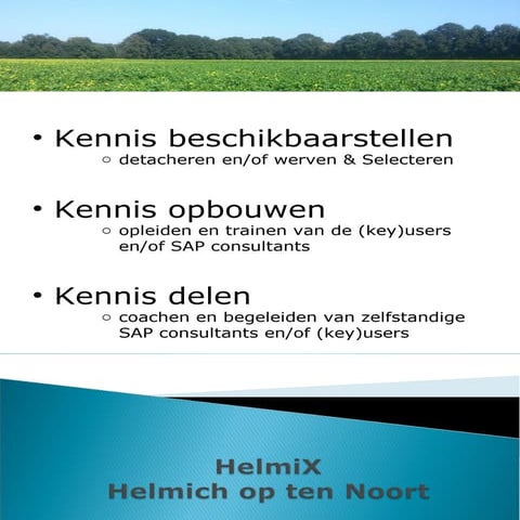 HelmiX - Dienstverlening | PDF