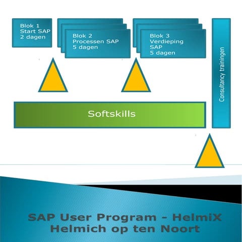 Helmi x sapuserprogram2015 | PPT | Business | Business and Finance