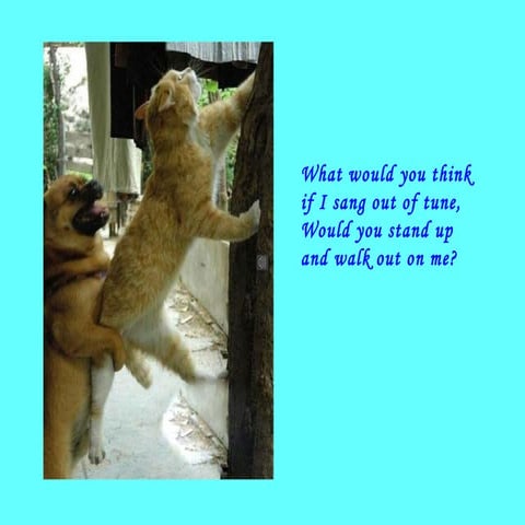 Help (cute animals) | PPT