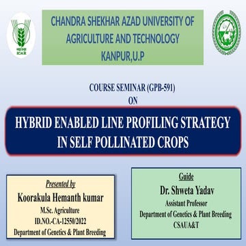 HELP ( Hybrid Enabled Line Profiling).pptx