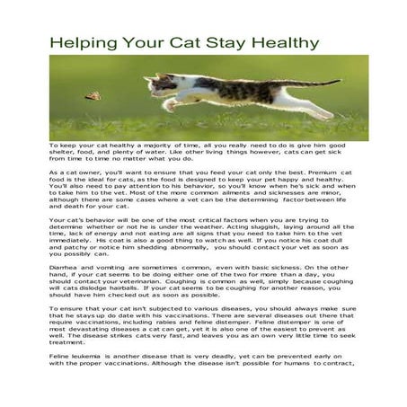 Helping your cat stay healthy | PDF