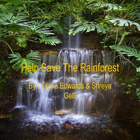 Help save the rainforest | PPT