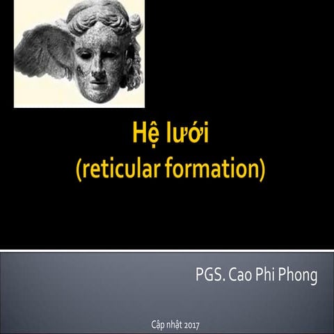 He luoi cao phi phong (2017) | PDF