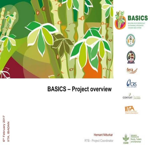 BASICS – Project overview | PPTX