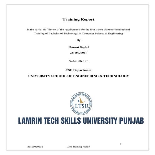 java_training_report_collage_summer_holiday_homework.docx