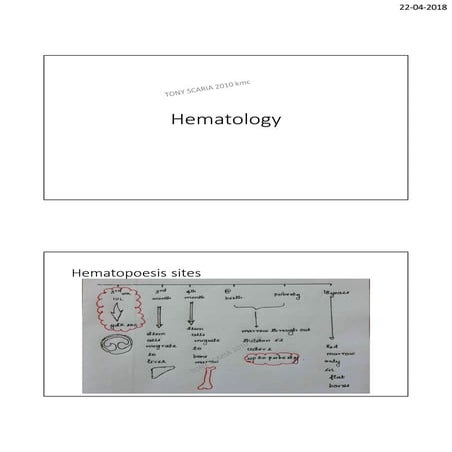 Hematology revision notes pathology | PDF