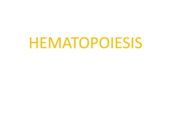 01. Hematopoiesis | PPT