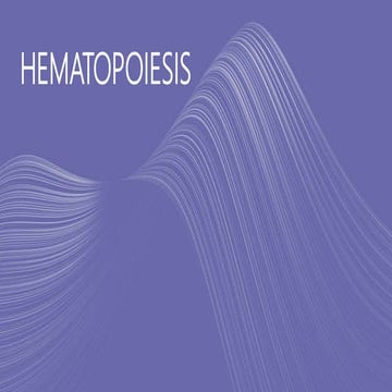 hematopoiesis.pptx