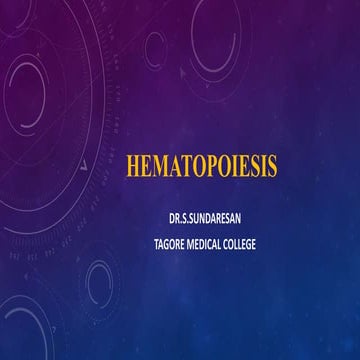 Hematopoisis | PPTX