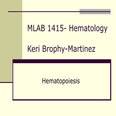 Hematopoiesis: Includes maturation series of cells such the myeloid ...