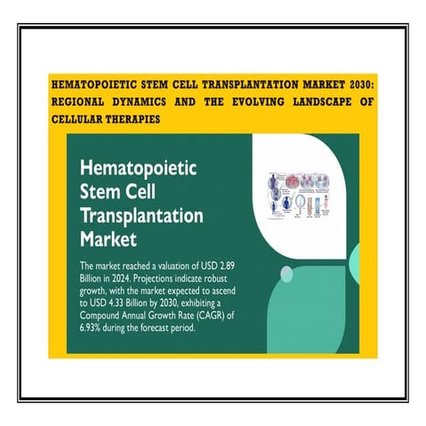 Hematopoietic Stem Cell Transplantation Market 2030: From Leukemia ...
