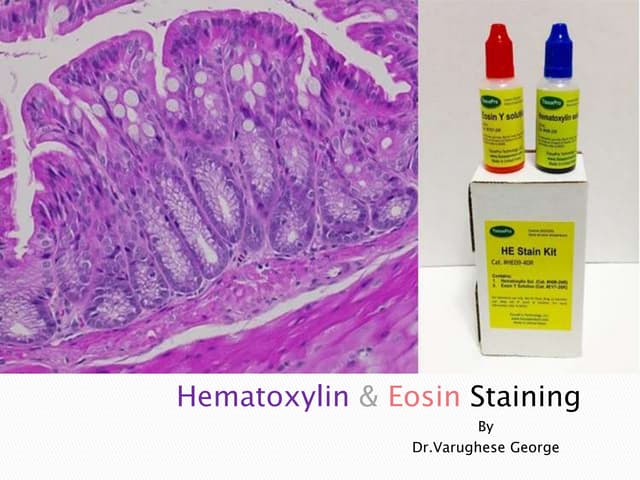 Hematoxylin And Eosin Staining Ppt