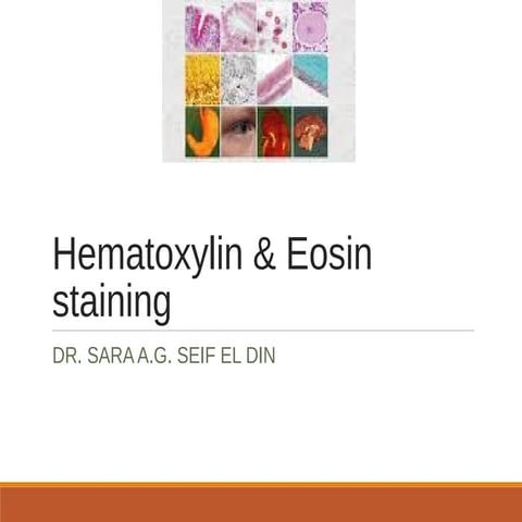 Mounting media | PPTX