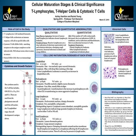 T Lymph Scientific Poster | PPTX