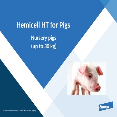 Hemicell cell H T for Pigs - Nursery .pptx