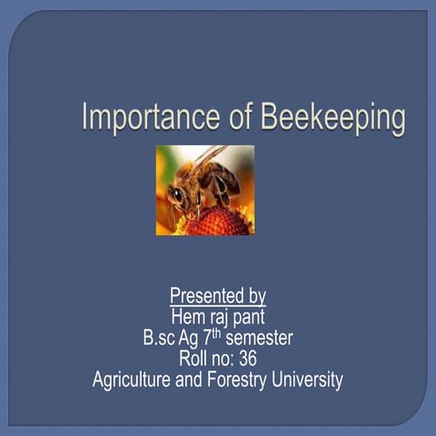 Importance of beekeeping | PPTX