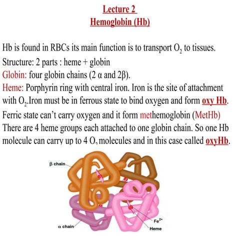 Hemoglobin (lec two.ppt Hemoglobin (lec two.ppt