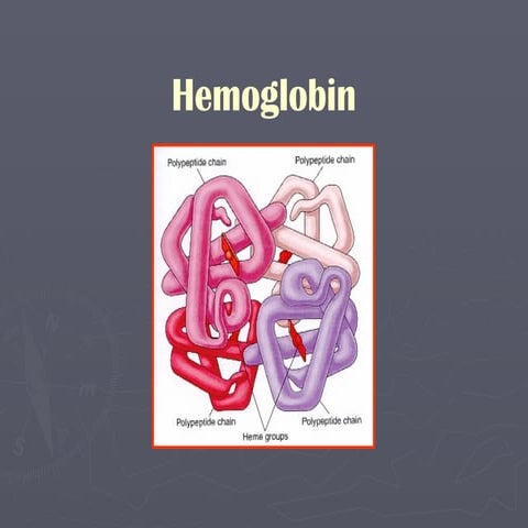 Hemoglobin structuredddddddddddddddd.ppt | Free Download