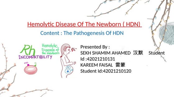Rh Incompatibility.pptx NOTES IN OBSTETRICS AND GYNECOLOGY NURSING | PPTX