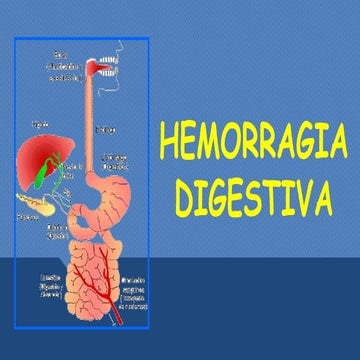 hemorragia-digestiva-alta-y-baja- tratamienti | PPTX