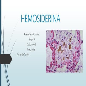 HEMOSIDERINA.pptx