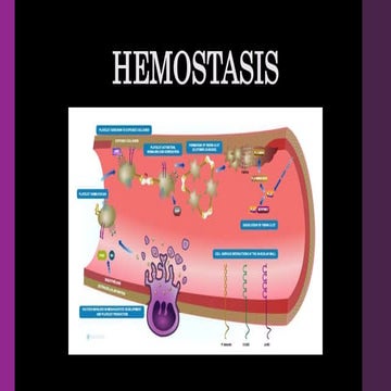 Hemostasis veterinaria | PPTX