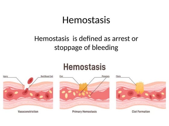 Mechanism of Blood Coagulation | PPTX | Blood Disorders | Diseases and ...