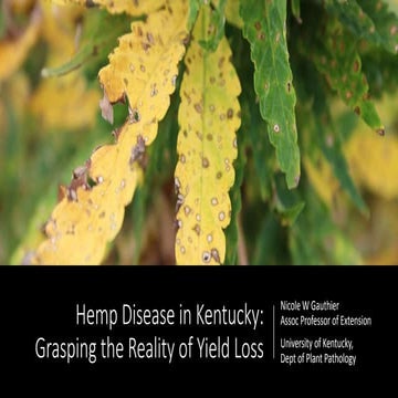 Hemp Disease and Their Mgmt Spring 2020 | PPTX